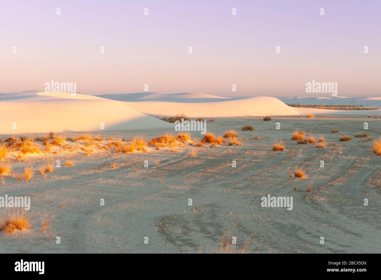 Gypsum desert hi-res stock photography and images - Alamy