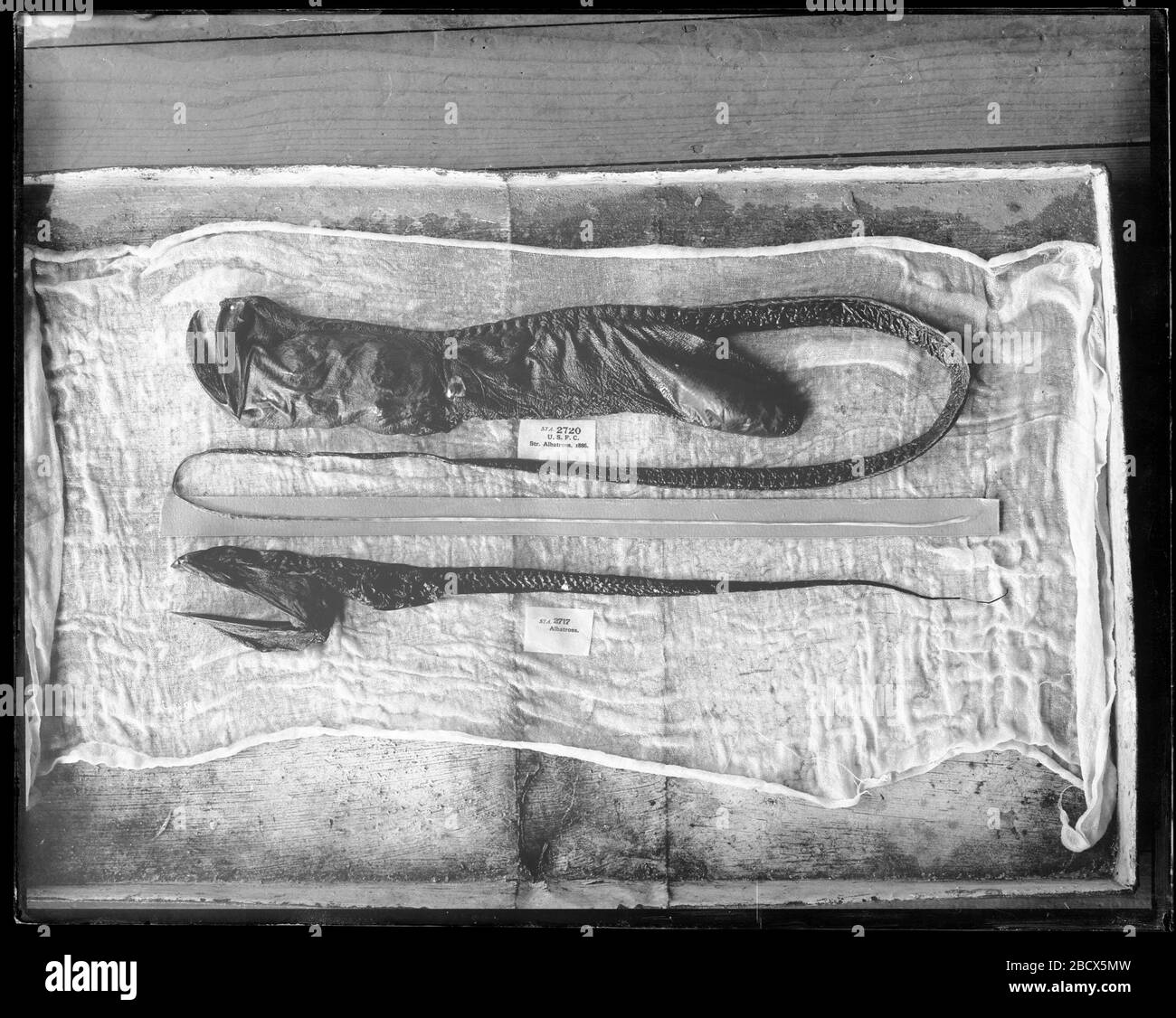 Unidentified united states marine Black and White Stock Photos & Images ...