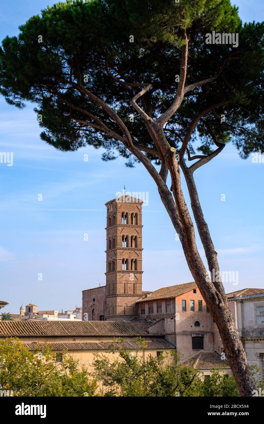 Bell tower, campanile of Basilica di Santa Francesca Romana (Santa ...