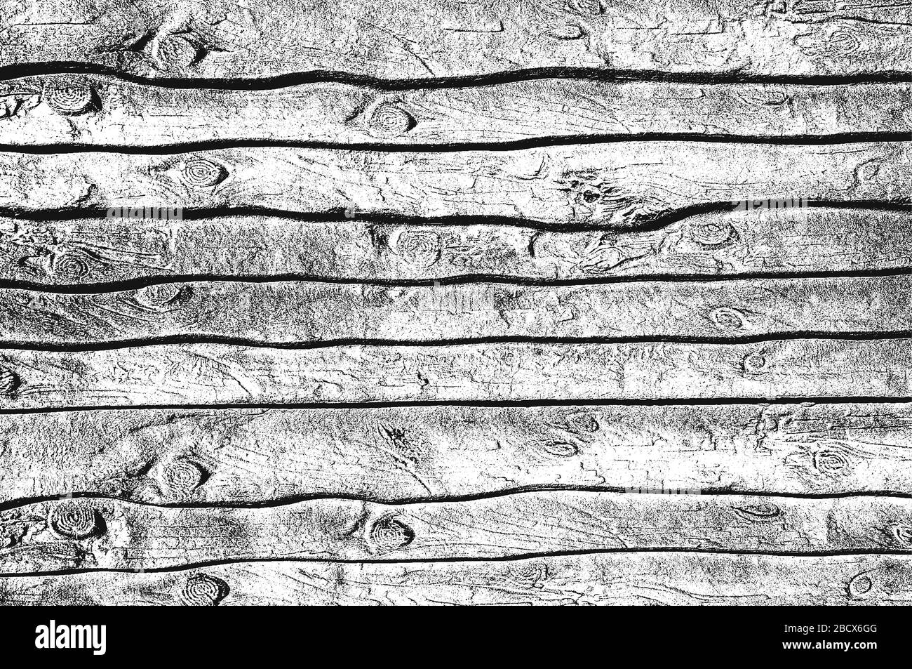Distress old dry wooden texture. Black and white grunge background ...