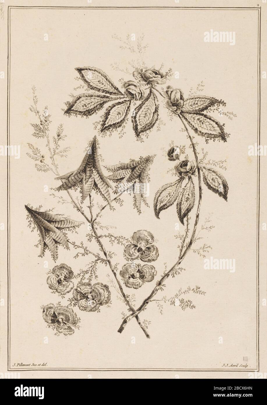 Flower Bough. Research in Progress Flower Bough Stock Photo - Alamy