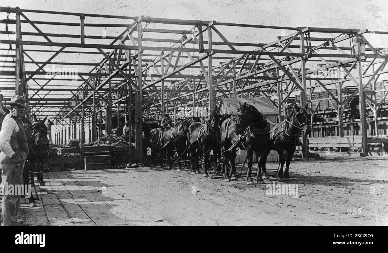 Oxnard sugar factory hi-res stock photography and images - Alamy