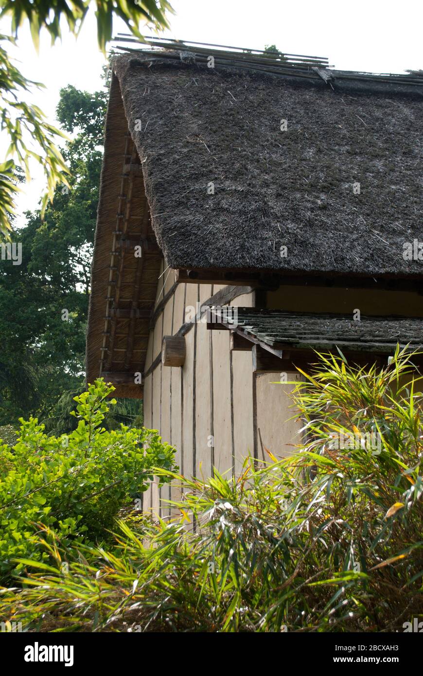 Timber frame wall construction hi-res stock photography and images - Alamy
