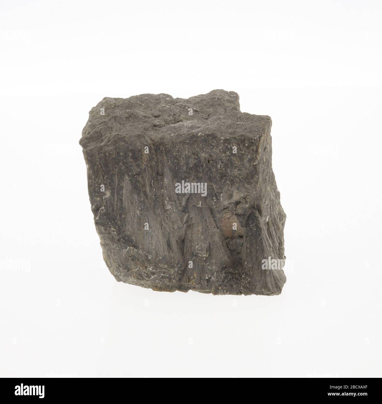 Argillaceous hi-res stock photography and images - Alamy