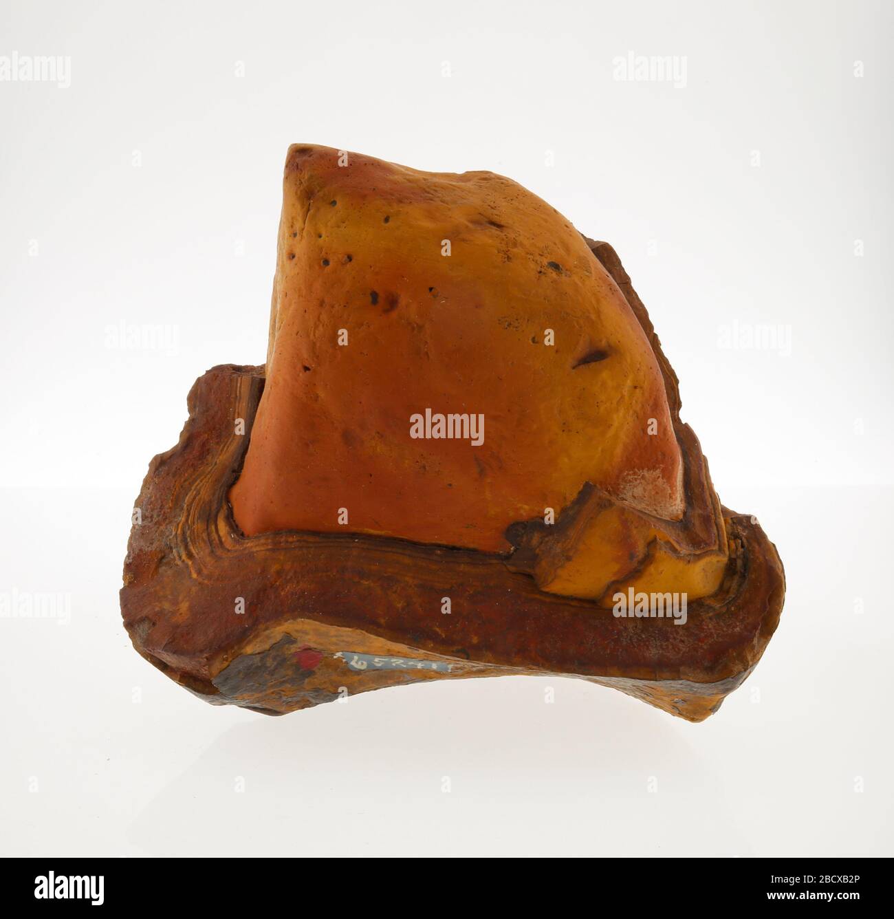 Ferruginous concretion hi-res stock photography and images - Alamy