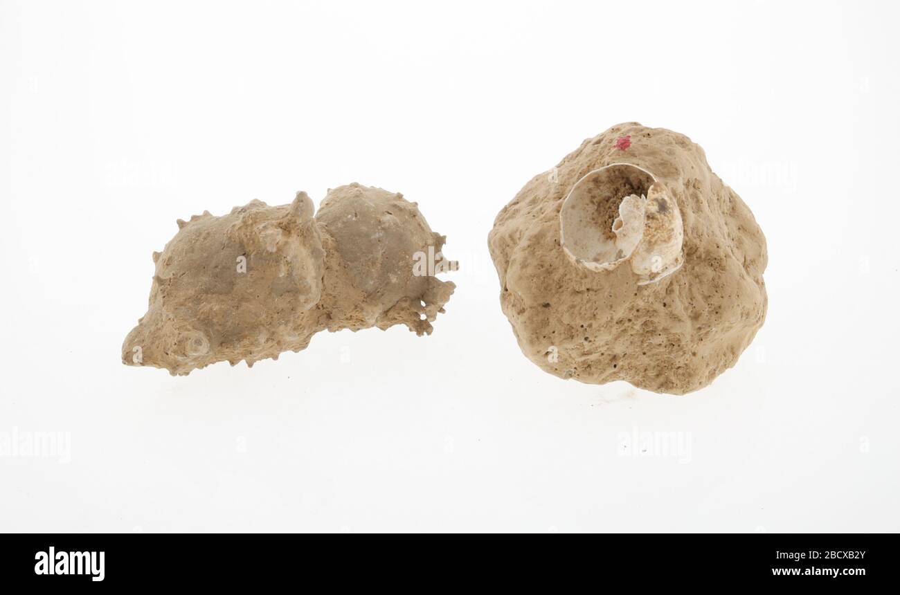 The loess and rock hi-res stock photography and images - Alamy