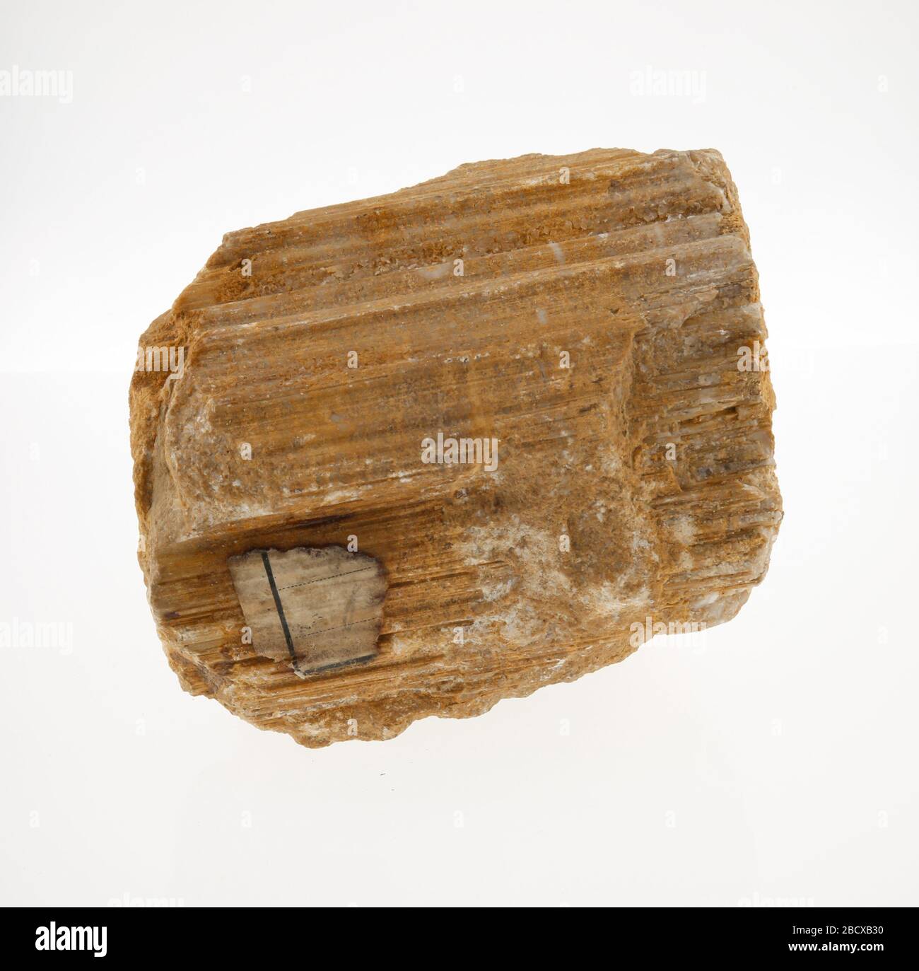 Limestone matrix hi-res stock photography and images - Alamy