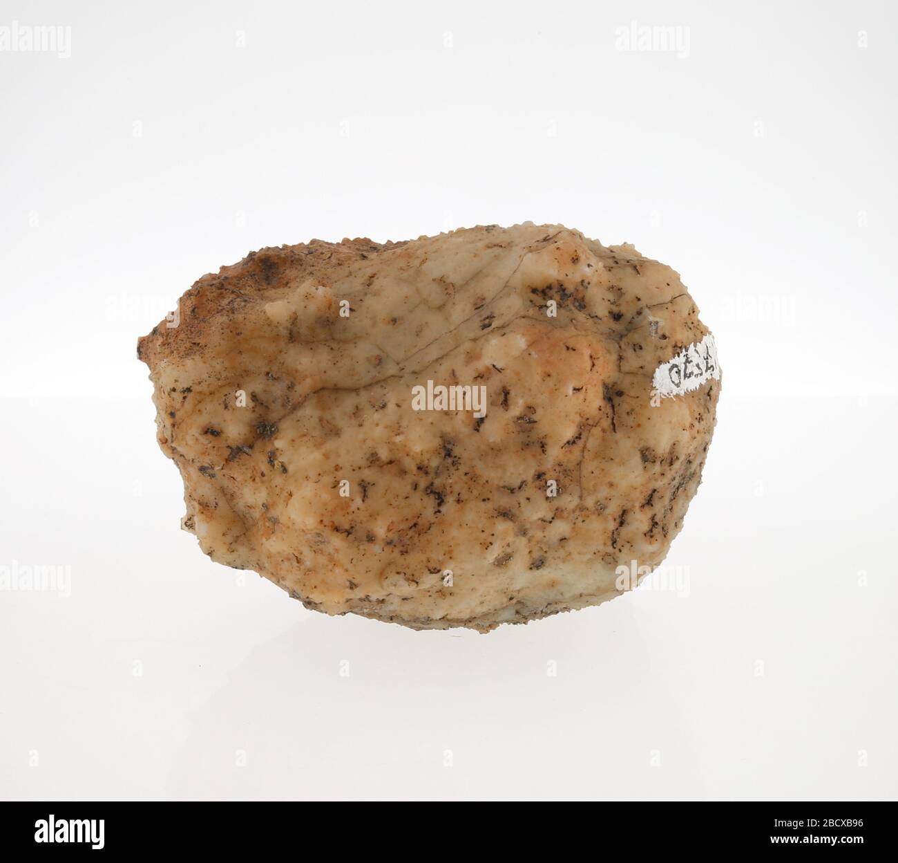 Siliceous concretion. 7 Nov 20171 Siliceous concretion Stock Photo - Alamy