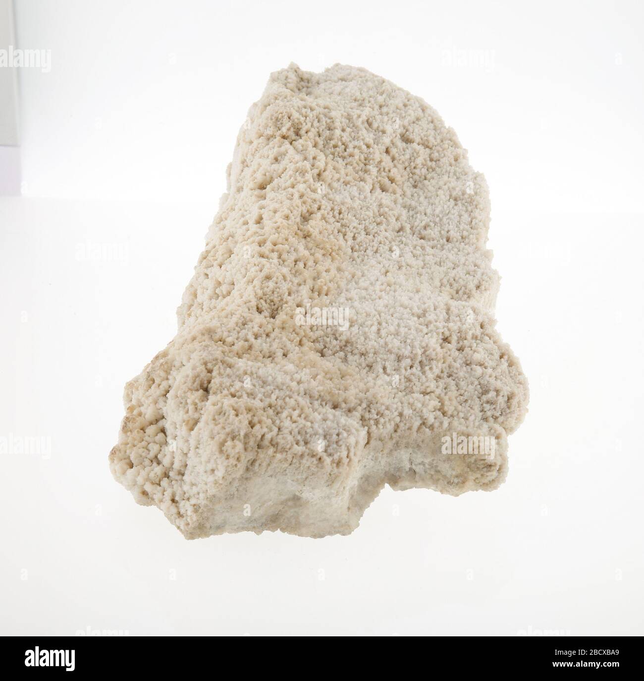 Siliceous hi-res stock photography and images - Alamy