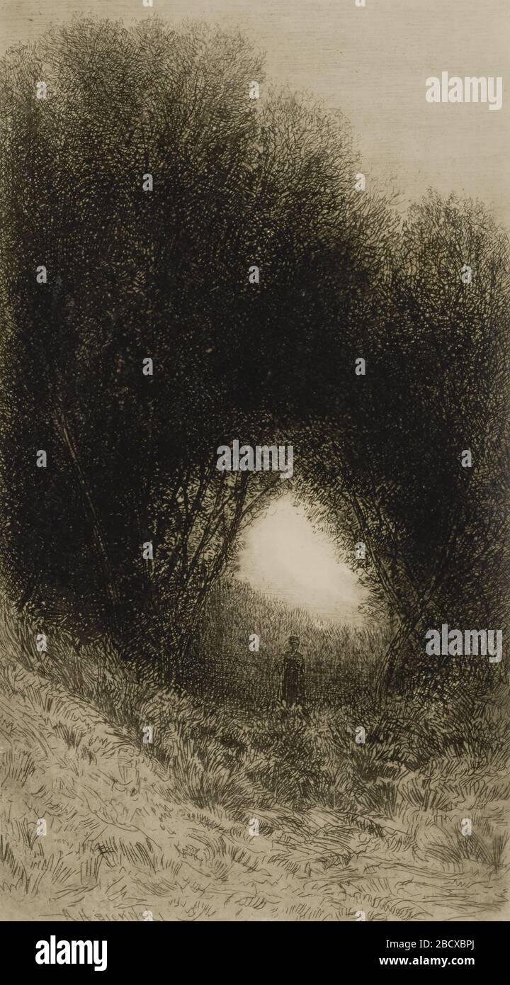 Figure and Trees. Figure and Trees Stock Photo - Alamy