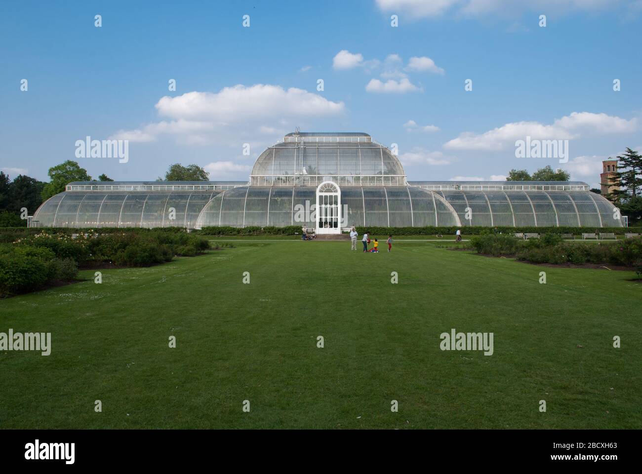 Palm House Lake Pond by Decimus Burton Victorian Glasshouse at Royal ...