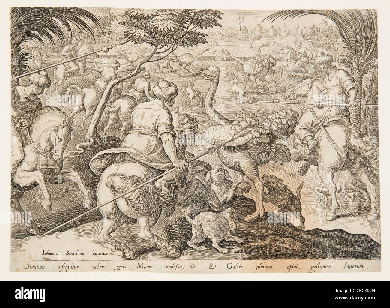 Horsemen hunt ostriches hi-res stock photography and images - Alamy