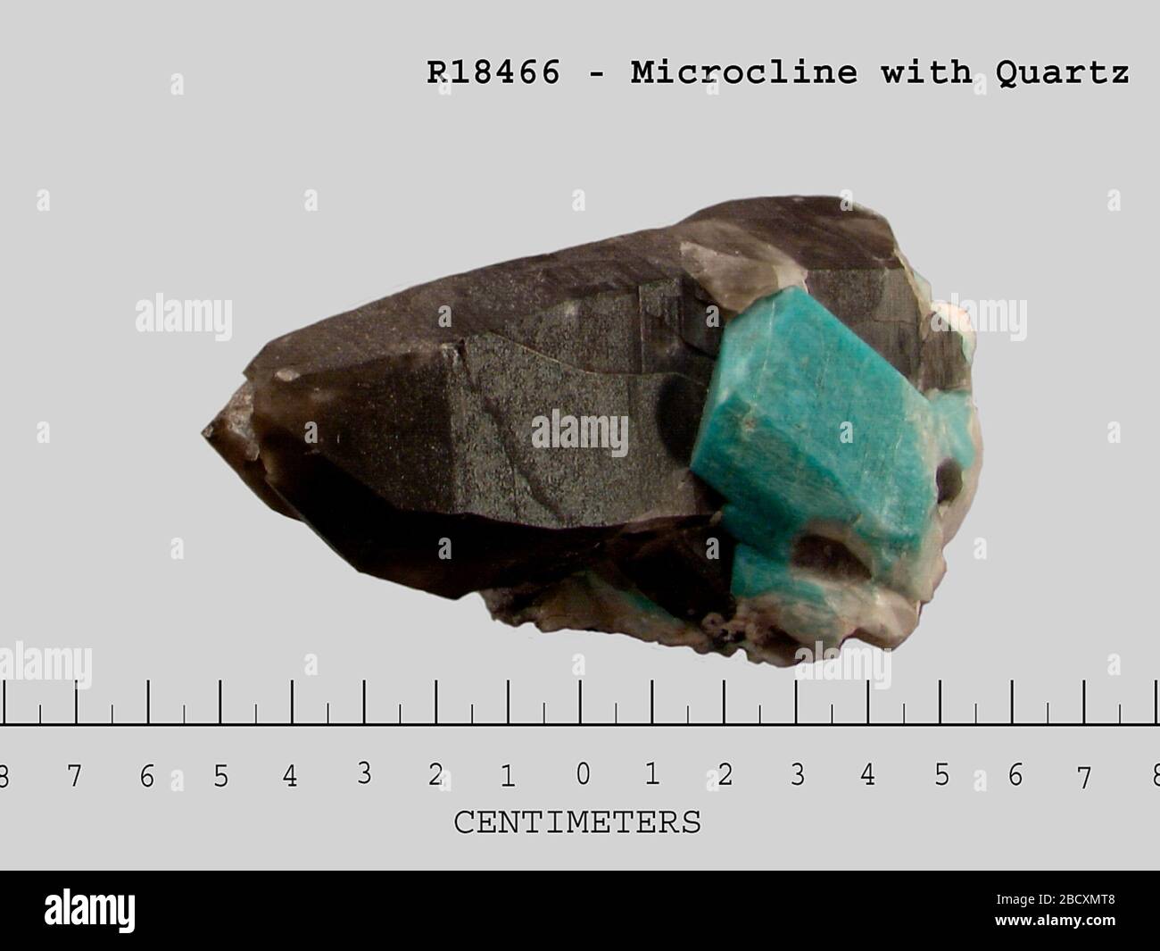 Microcline. 18 Aug 20161 Microcline Stock Photo - Alamy