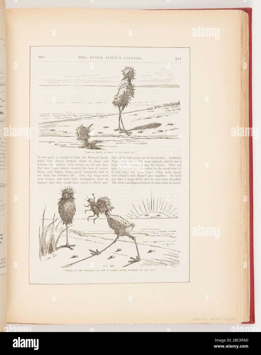 Mrs Peter Pipers Pickle. Research in ProgressShort story on two crows ...