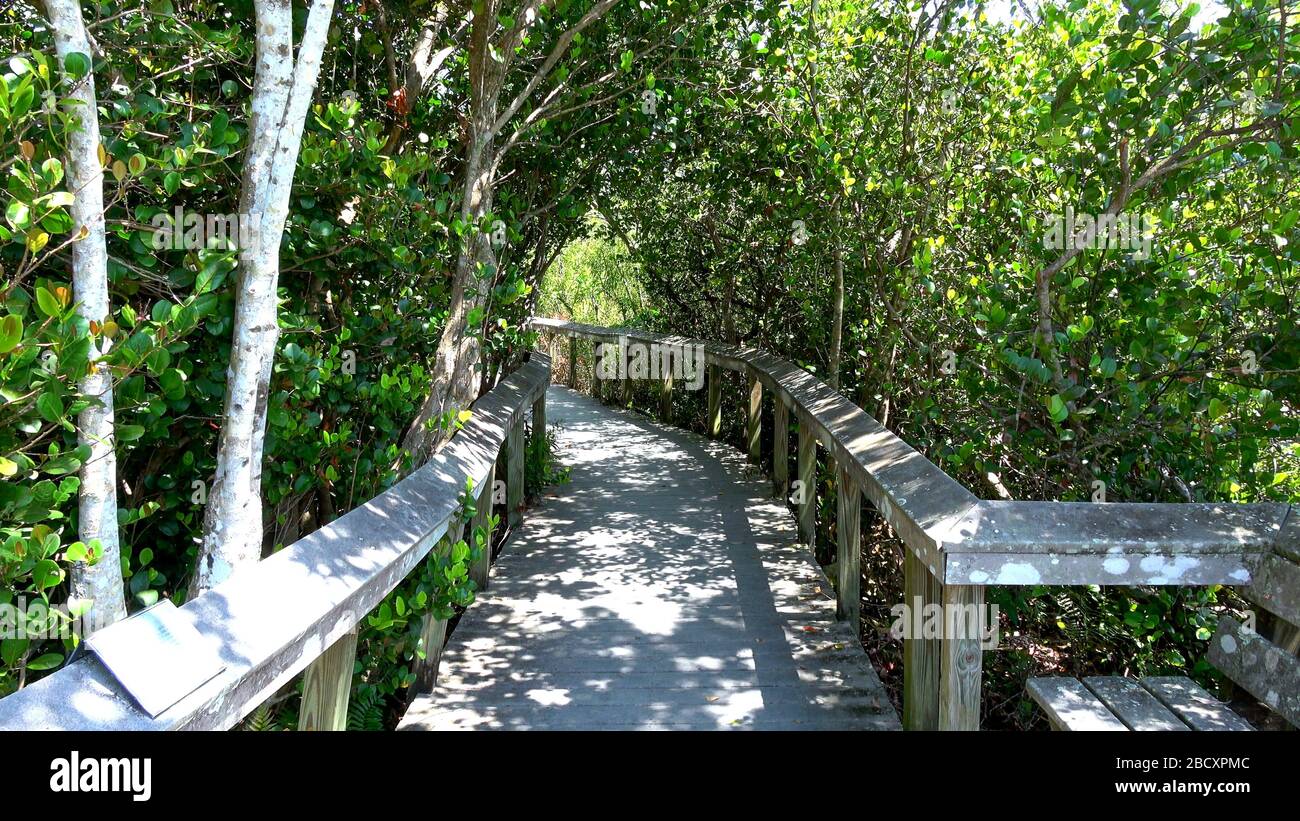 Beautiful landscapes in the Everglades National Park in USA Stock Photo ...