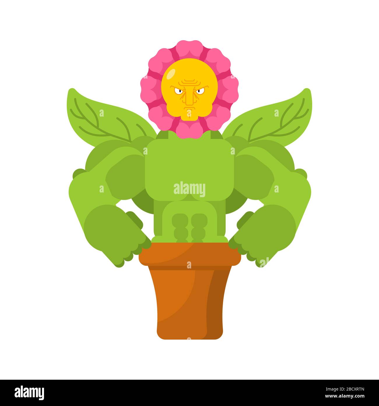 Strong Flower in pot. Powerful Home plant. herb bodybuilder Stock ...