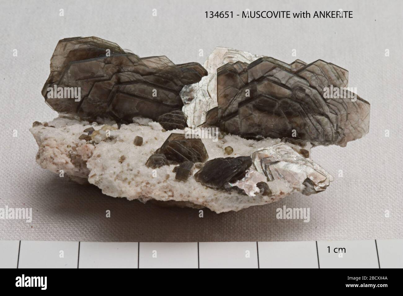 Muscovite. 24 Apr 2017103771 Muscovite Stock Photo - Alamy