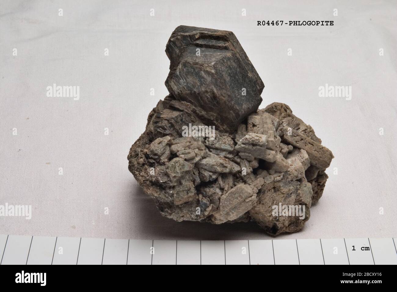 Phlogopite hi-res stock photography and images - Alamy