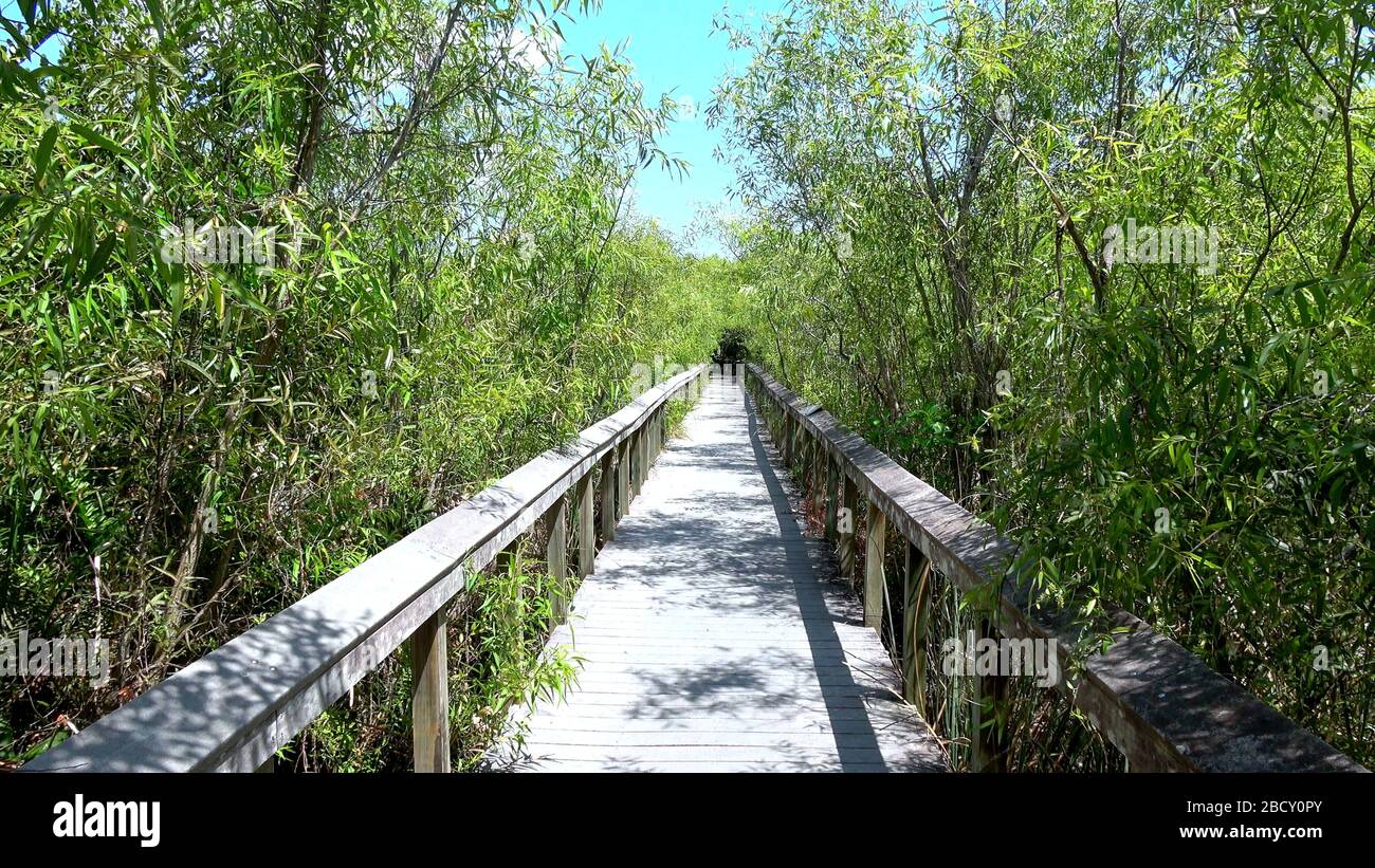 Beautiful landscapes in the Everglades National Park in USA Stock Photo ...
