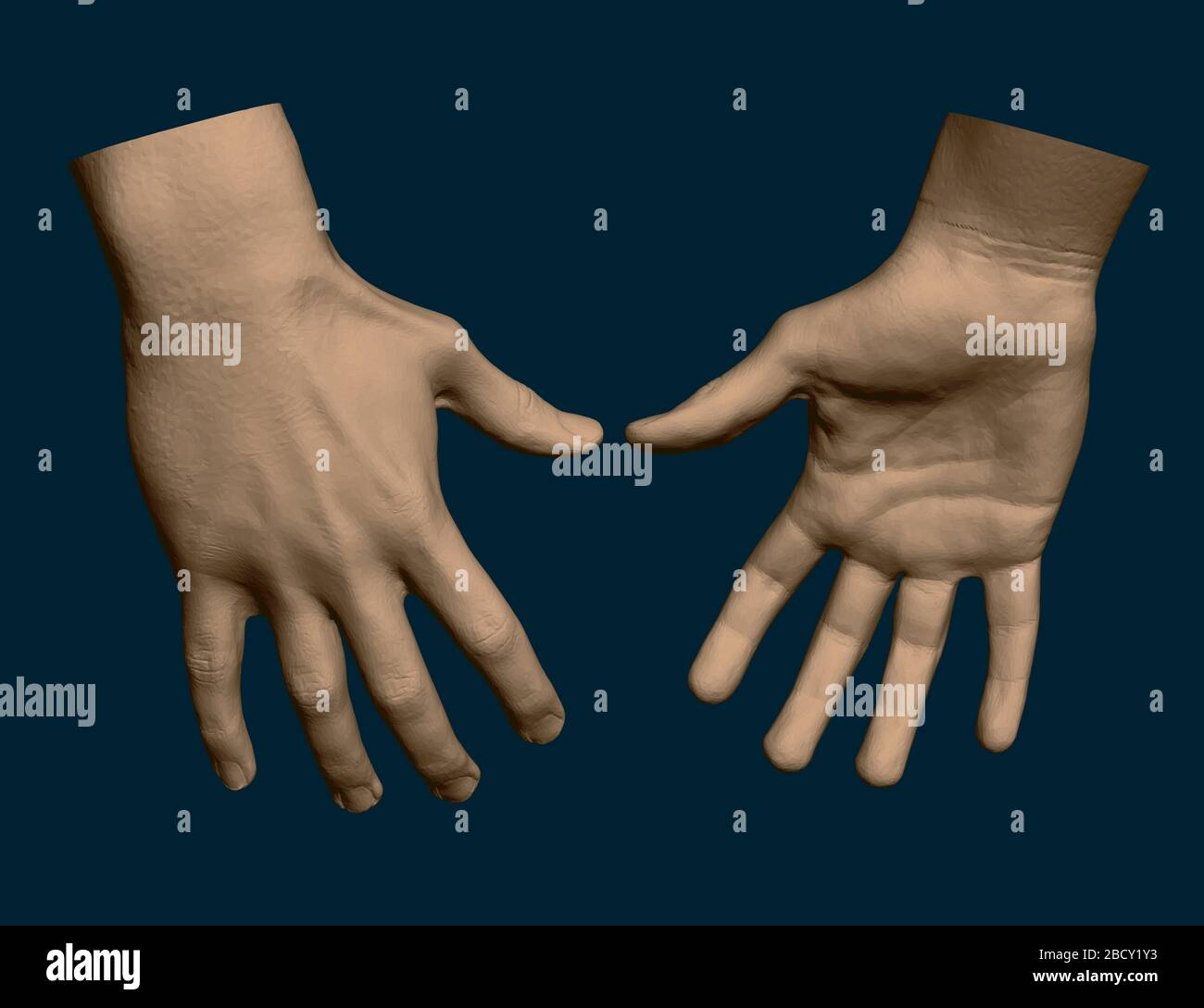 Back Hand Palm Vector