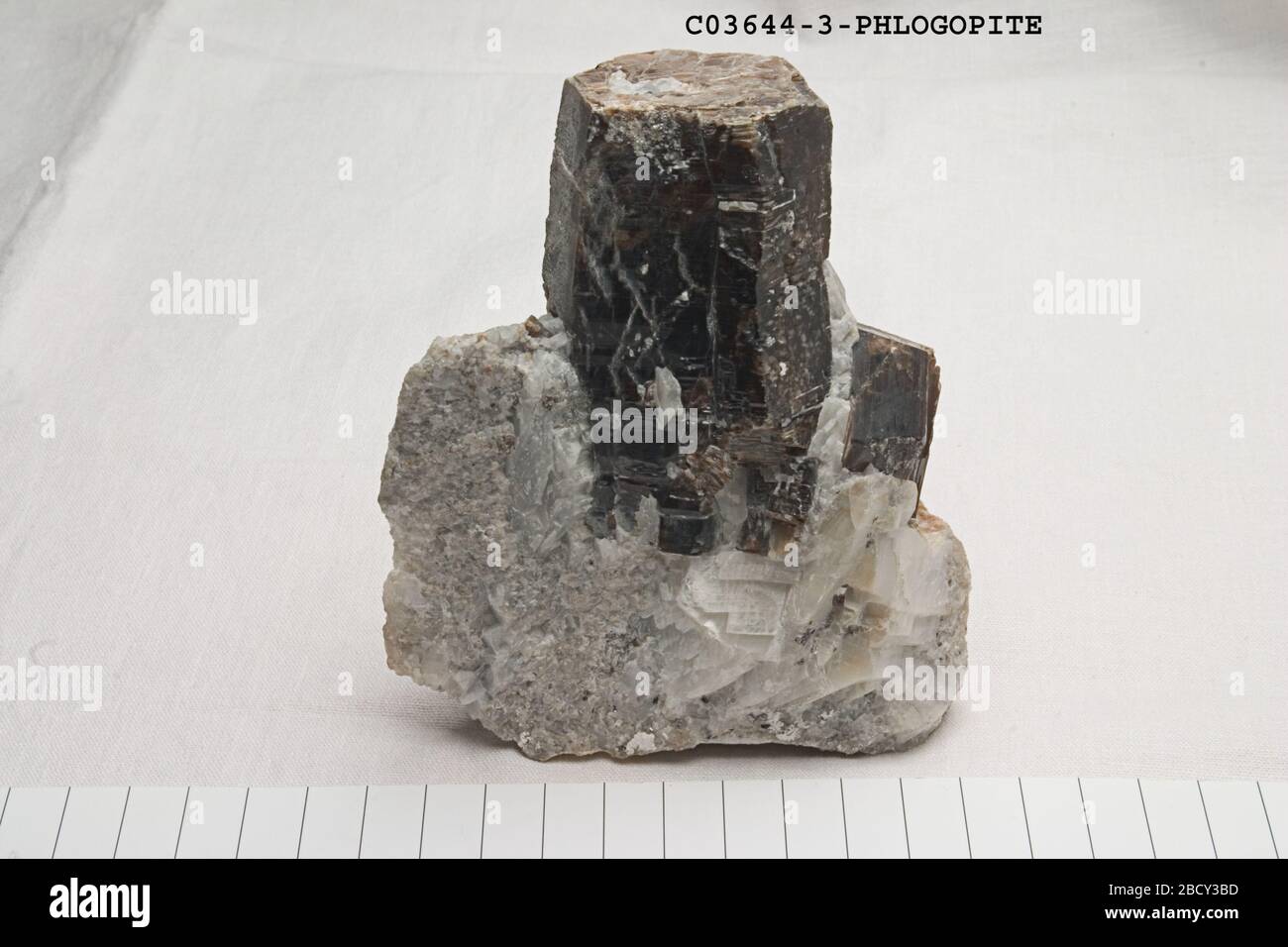 Phlogopite hi-res stock photography and images - Alamy