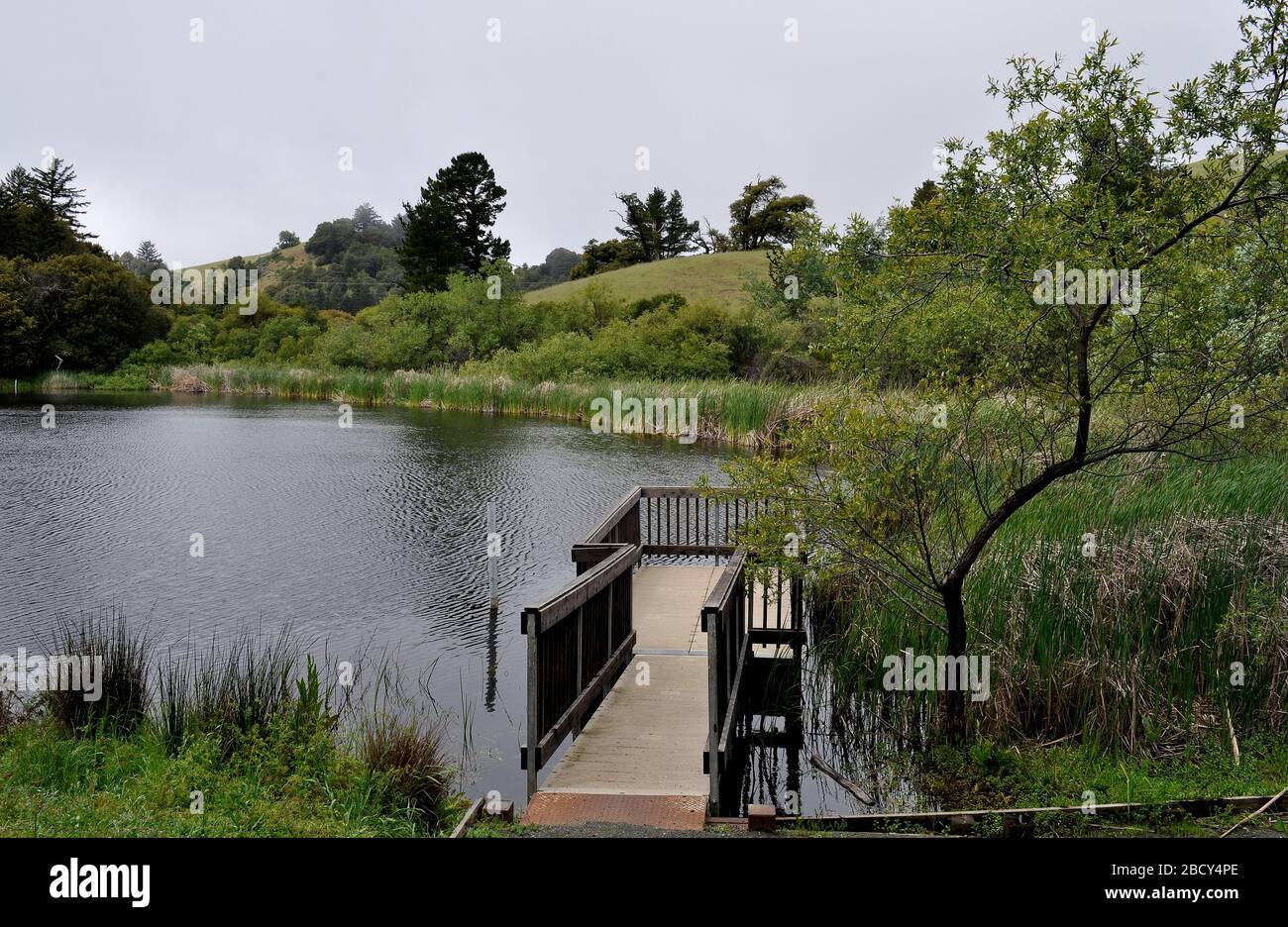 Alpine Pond, Midpeninsula Regional Open Space District, California ...
