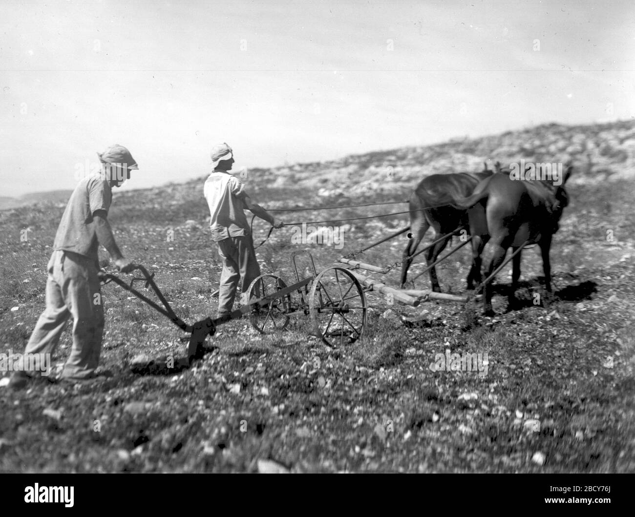Ploughing of land hi-res stock photography and images - Alamy
