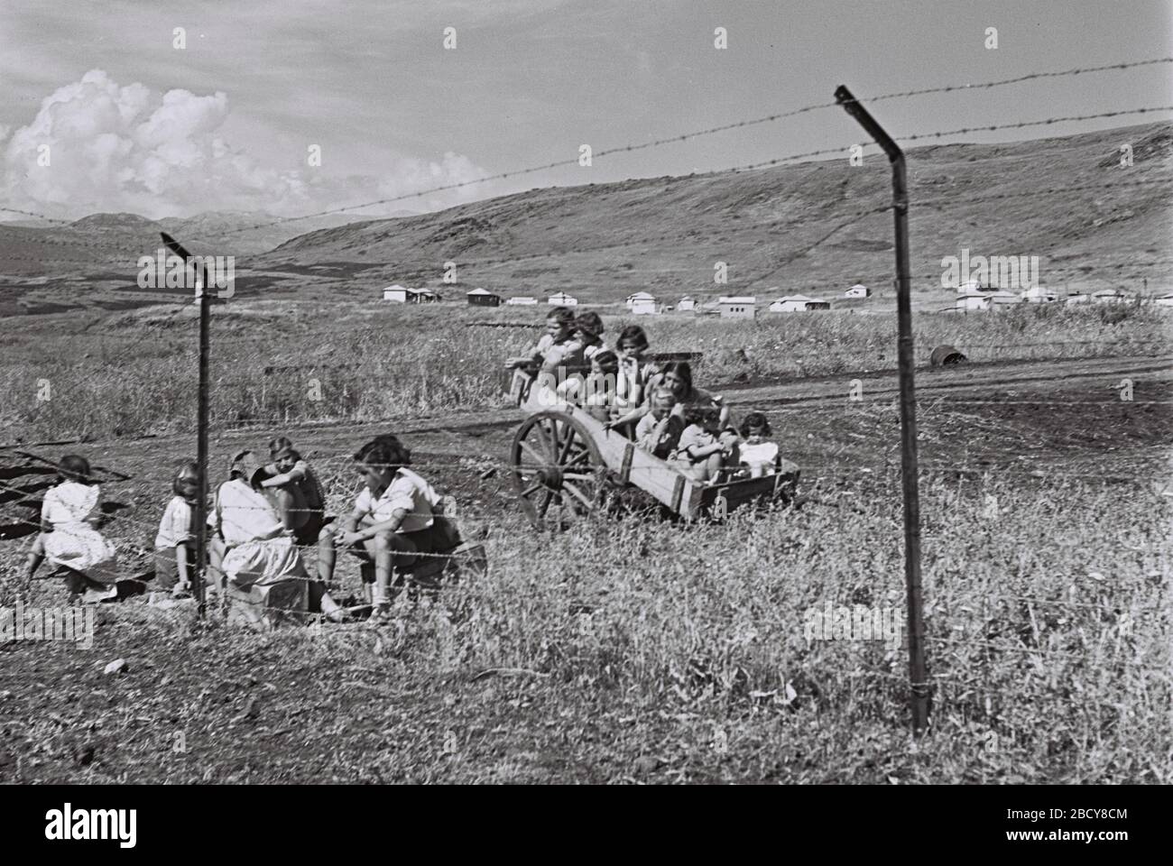 Kibbutz kfar blum hi-res stock photography and images - Alamy