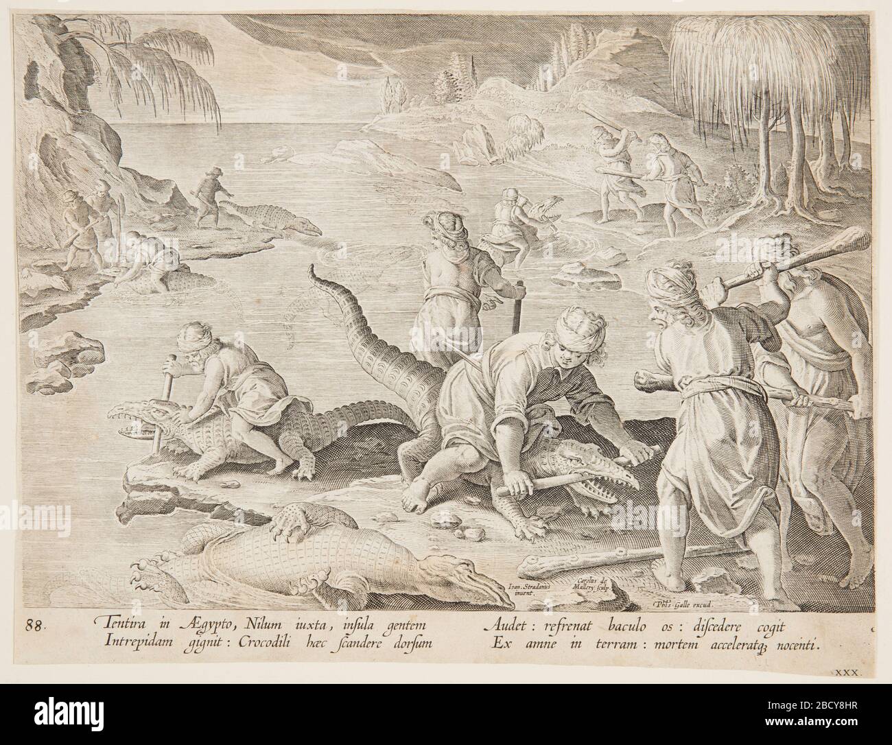 Crocodile Hunt in Tentyra in Egypt plate 30 from the Venationes Ferarum ...