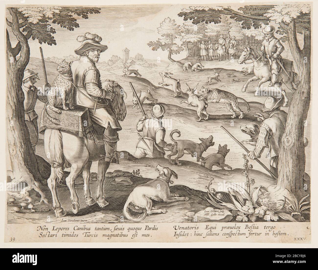 Hunters using captive leopards hi-res stock photography and images - Alamy