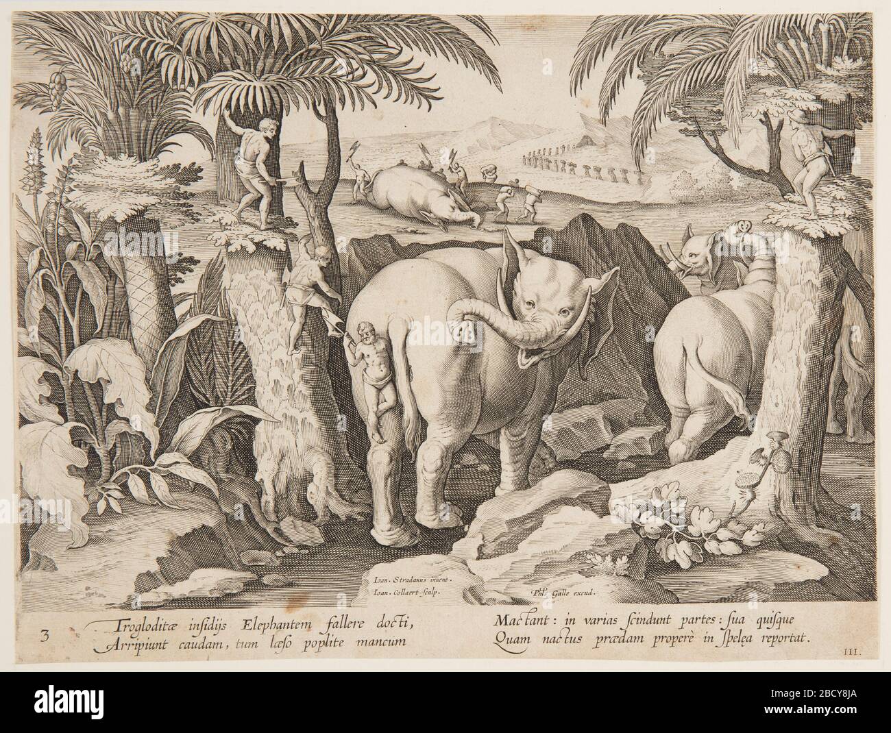 Cavemen Chasing Elephants High Resolution Stock Photography and Images ...