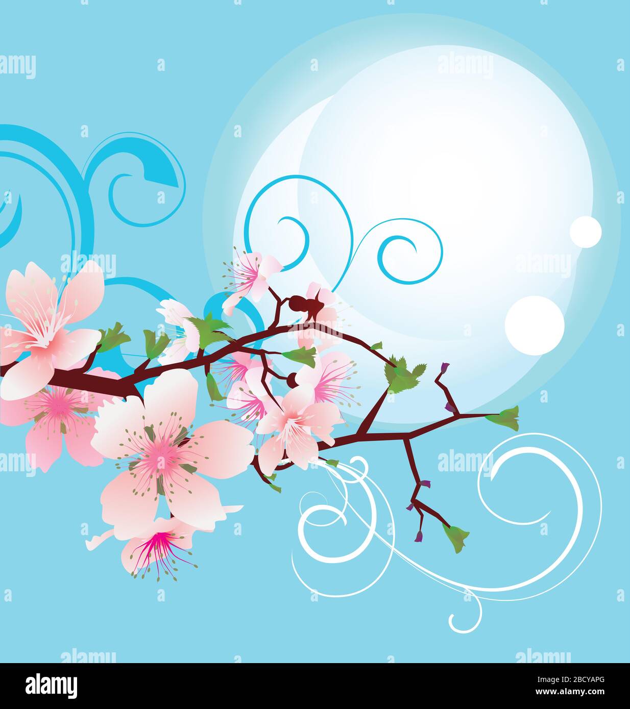 Sakura blossom pink blooming Stock Vector Images - Alamy