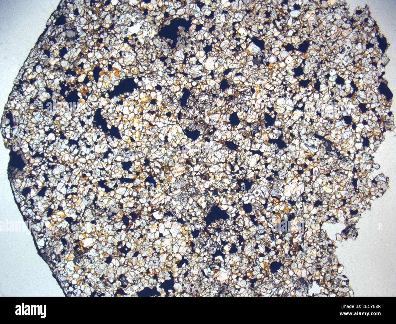 Micrograph of MET 01244,2 meteorite under plane-polarized light at 1 ...