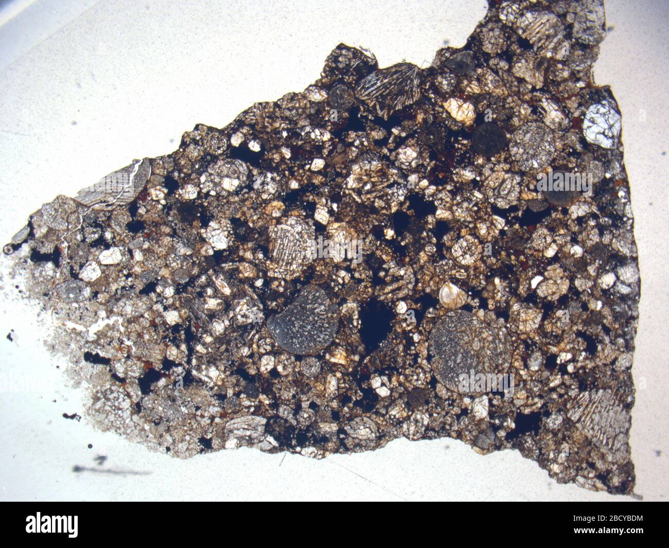 Micrograph Of Lew 85398 2 Meteorite Under Plane Polarized Light At 1