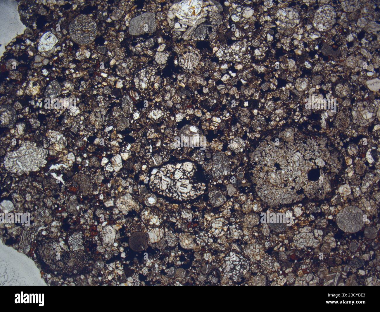 Micrograph Of Lew 86021 2 Meteorite Under Plane Polarized Light At 1