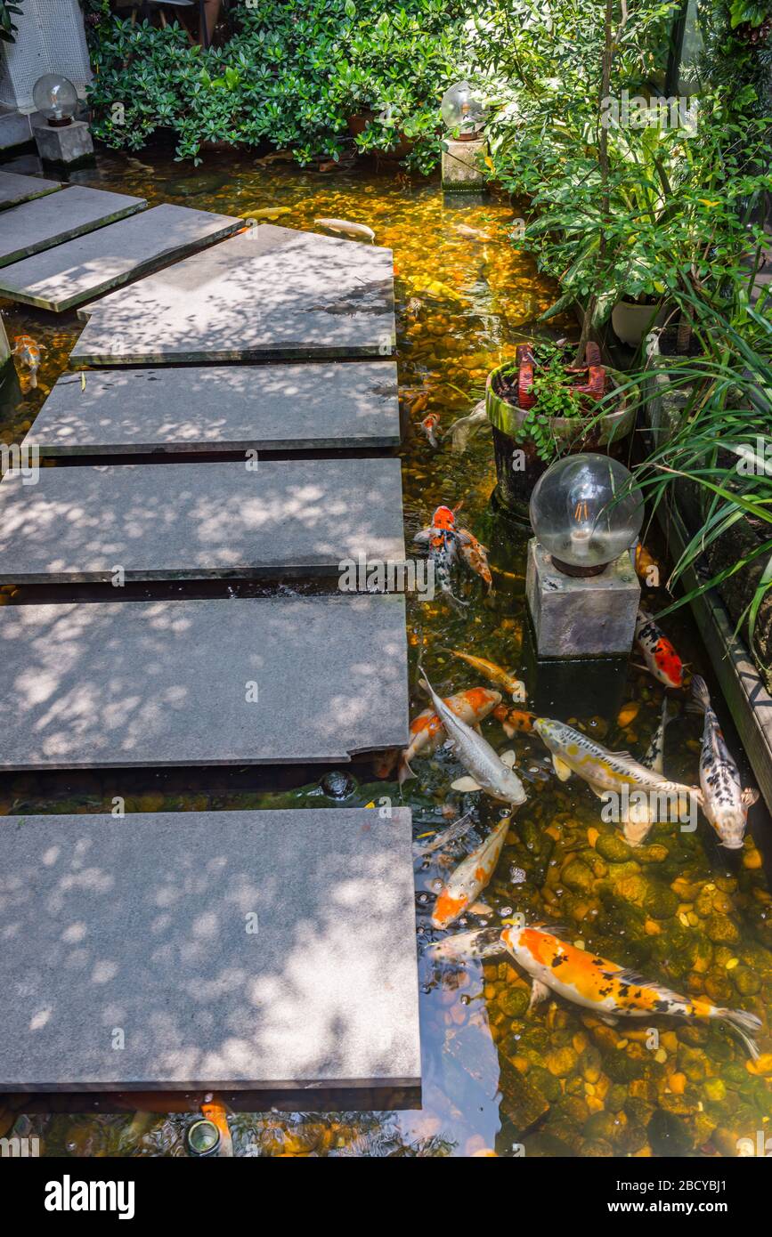 Vertical photo of beautiful Koi fish pond outside garden Stock Photo ...