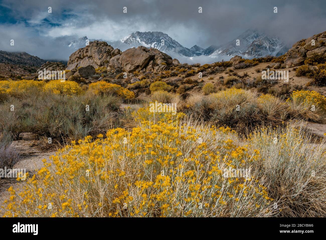 Clearing Storm, Rabbitbrush, The Buttermilks, Basin Mountain, Piute ...