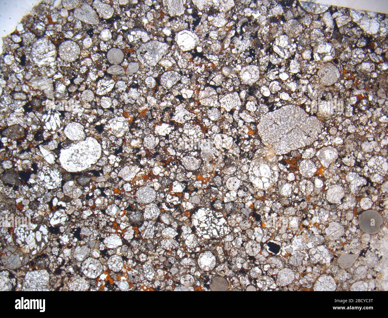 Micrograph of ALHA81024,4 meteorite under plane-polarized light at 1 ...