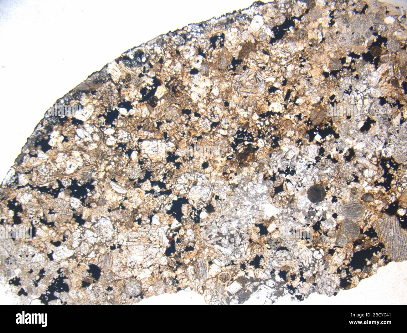 Micrograph of ALHA78196,3 meteorite under plane-polarized light at 1 ...