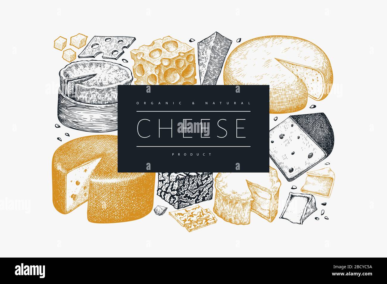 Cheese design template. Hand drawn vector dairy illustration. Engraved ...