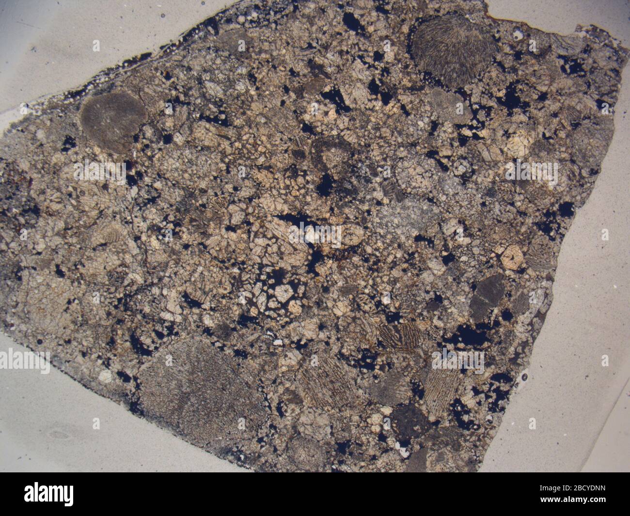 Micrograph Of Lew 86034 2 Meteorite Under Plane Polarized Light At 1