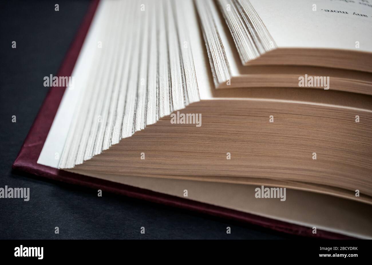 Book pages close up hi-res stock photography and images - Alamy
