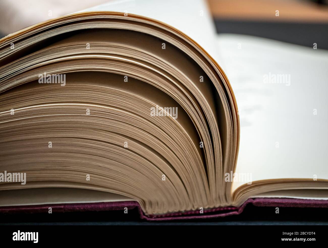 Book pages close up on a dark background. Pages fluttering Stock Photo ...