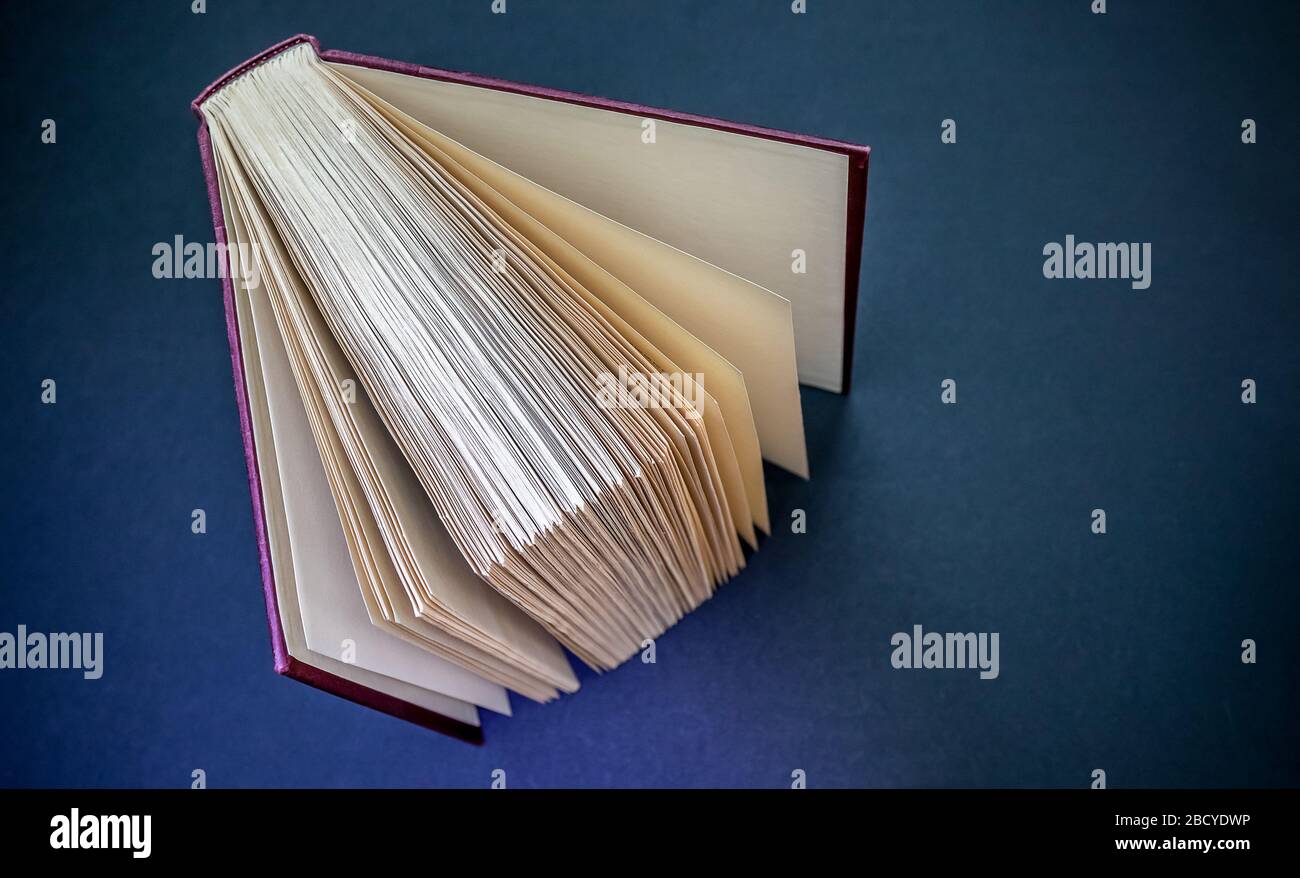 Book pages close up on a dark background. Pages fluttering Stock Photo ...