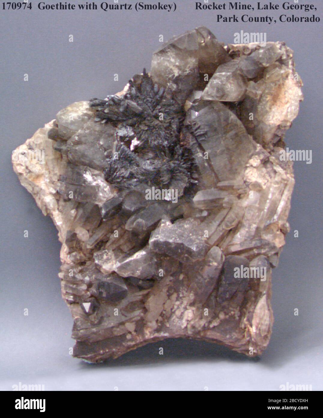 Goethite with quartz (NMNH 170974-00) from the National Mineral ...