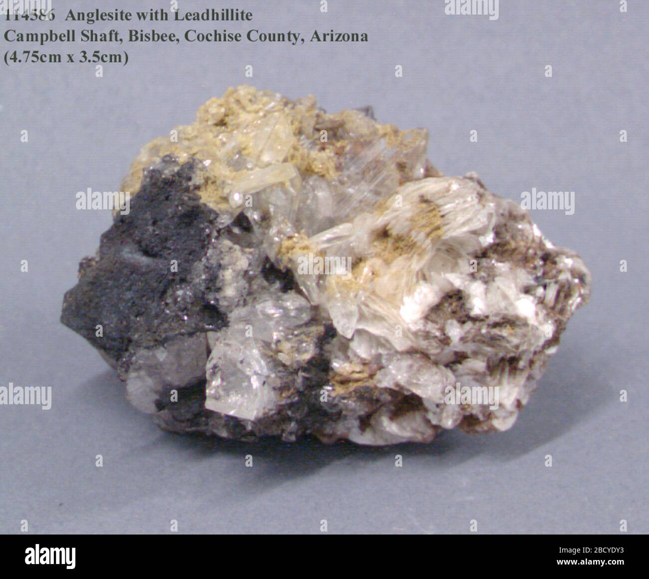 Anglesite Mineral