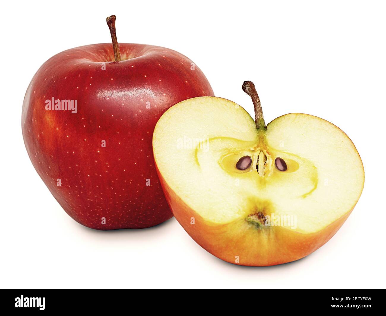 Beautiful red whole apple and cut half of another apple with two bones ...