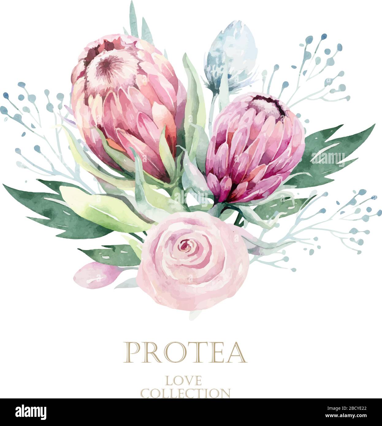 Protea art Stock Vector Images - Alamy