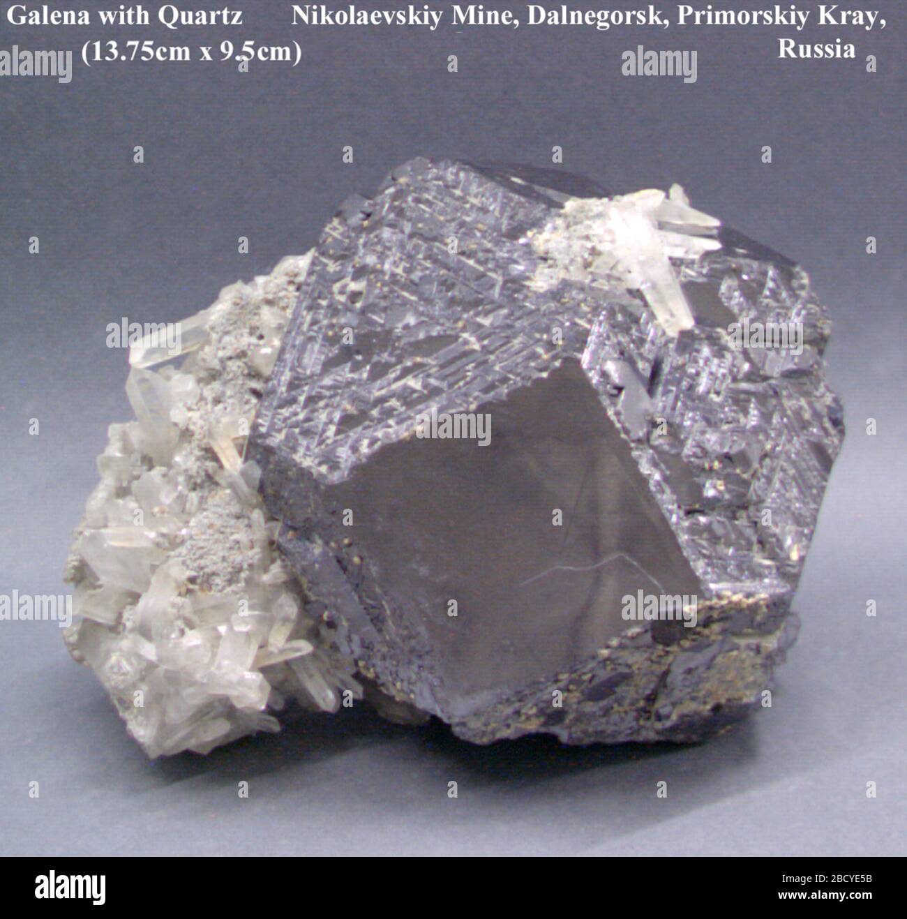 Galena with quartz (NMNH 171437-00) from the National Mineral ...