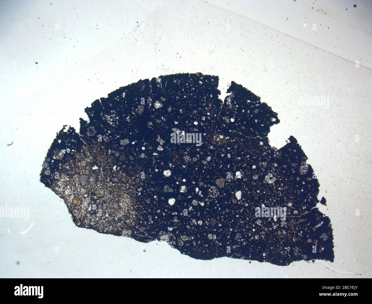 Micrograph Of Lew 87003 2 Meteorite Under Plane Polarized Light At 1